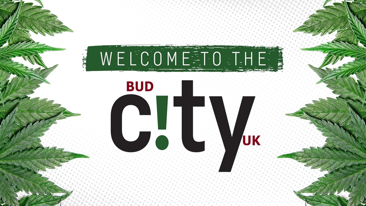 Snowballs Weed for Sale UK | Buy Snowballs Strain – Bud City UK